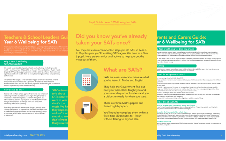 SATs Preparation Like A Pro: Your 5 Step Stress Free Plan