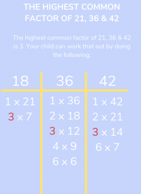 What Is The Highest Common Factor: Explained For Primary