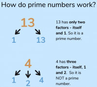 What Is A Prime Number? Explained for Parents, Teachers & Children