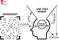 Long Multiplication Method KS2: How To Teach It Step-By-Step