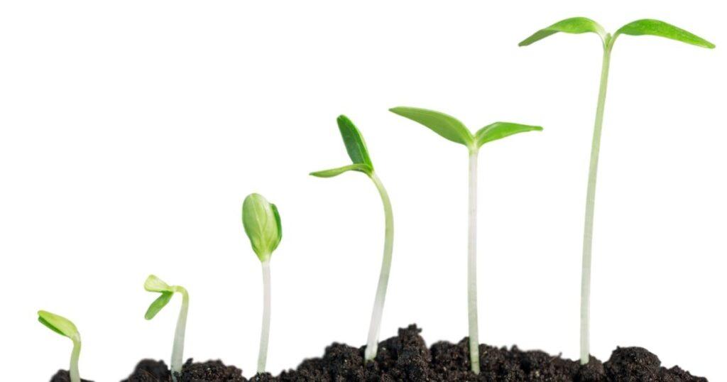 What Is Growth Mindset And Why It Matters For Children