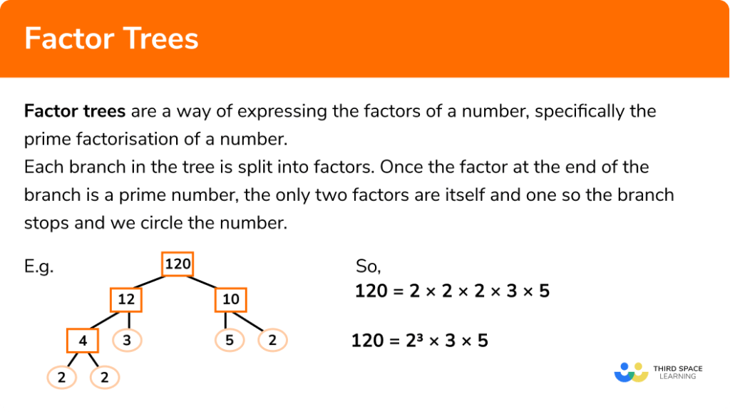 How To Draw Prime Factor Trees Hudson Dentry