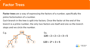 how to draw prime factor trees - Hudson Dentry