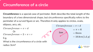 Circumference Of A Circle - GCSE Maths - Steps & Examples