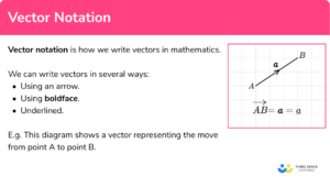 Vector Notation - GCSE Maths - Steps, Examples & Worksheet