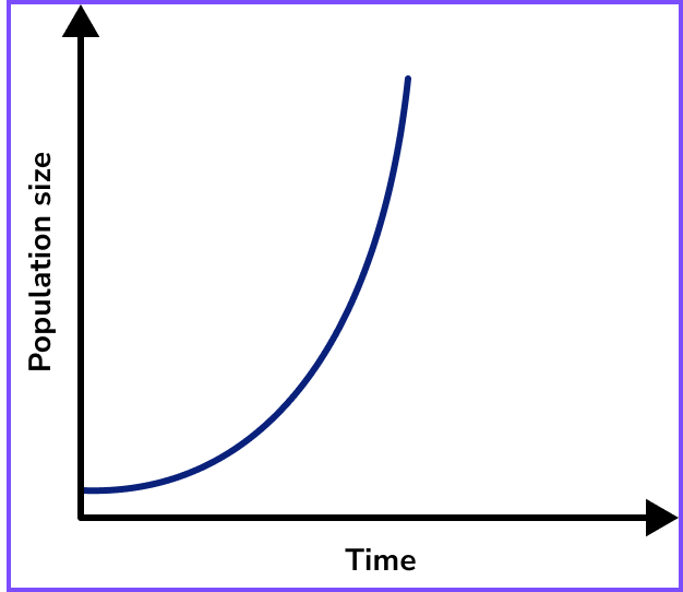 Types of Graphs - GCSE Maths - Steps, Examples & Worksheet