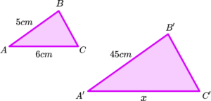 Ratio Scale - GCSE Maths - Steps, Examples & Worksheet