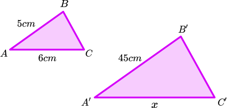 Ratio Scale - GCSE Maths - Steps, Examples & Worksheet