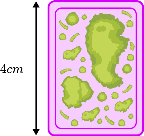 Ratio Scale - GCSE Maths - Steps, Examples & Worksheet