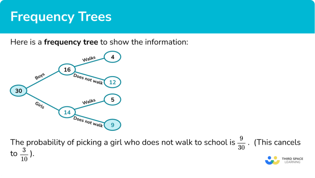 Frequency Trees - GCSE Maths - Steps, Examples & Worksheet Frequency Trees - GCSE Maths - Steps, Examples & Worksheet