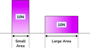 Pressure Force Area - GCSE Maths - Steps& Examples