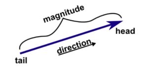 Vectors - GCSE Maths - Steps, Examples & Worksheet