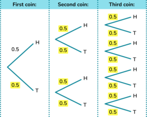 Probability Tree Diagram - GCSE Maths - Steps, Examples & Worksheet
