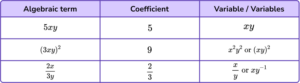Algebraic Terms - GCSE Maths - Steps, Examples & Worksheet