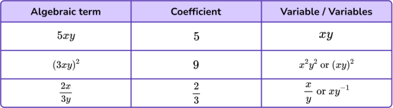 Algebraic Terms - GCSE Maths - Steps, Examples & Worksheet