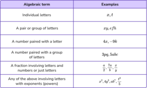 Algebraic Terms - GCSE Maths - Steps, Examples & Worksheet