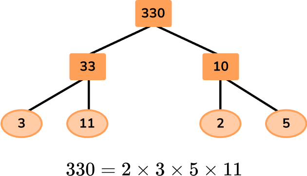Factor Trees - Elementary Math - Steps, Examples & Questions