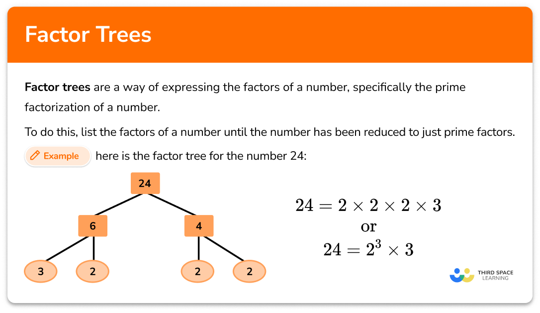 Factor Trees Math Steps Examples ions