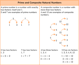 Natural Numbers - Elementary Math Steps, Examples & Questions