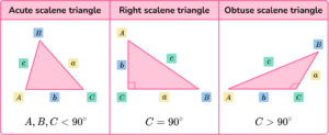 Area of a Triangle - Elementary Math Steps, Examples & Questions