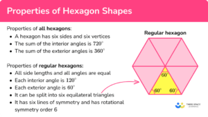 Hexagon Shape - GCSE Maths - Steps, Examples & Worksheet