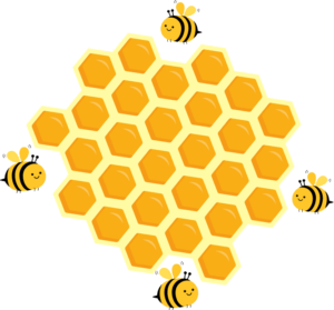 Hexagon Shape - GCSE Maths - Steps, Examples & Worksheet