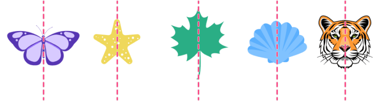 Lines of Symmetry - Math Steps, Examples & Questions