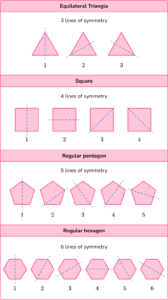 Lines of Symmetry - Math Steps, Examples & Questions
