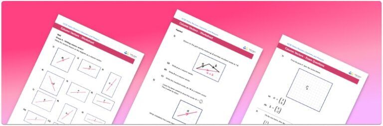 Column Vector - GCSE Maths - Steps, Examples & Worksheet