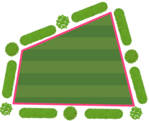 Polygons - Math Steps, Examples & Questions