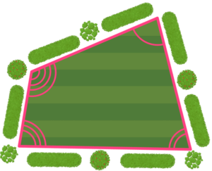 Polygons - Math Steps, Examples & Questions