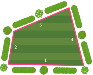 Polygons - Math Steps, Examples & Questions