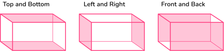 Prism shape - Math Steps, Examples & Questions