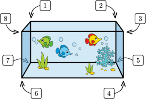 Rectangular Prism - Definition, Properties, Examples & Questions