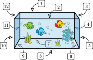 Rectangular Prism - Definition, Properties, Examples & Questions