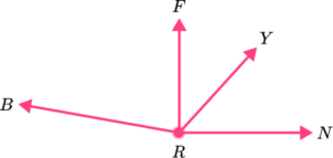 Adjacent Angles - Definition, Examples & Practice Questions