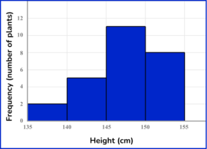 Histogram - Math Steps, Examples & Questions