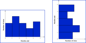 Histogram - Math Steps, Examples & Questions