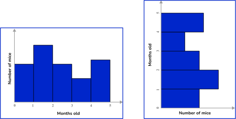 Histogram - Math Steps, Examples & Questions