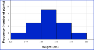 Histogram - Math Steps, Examples & Questions