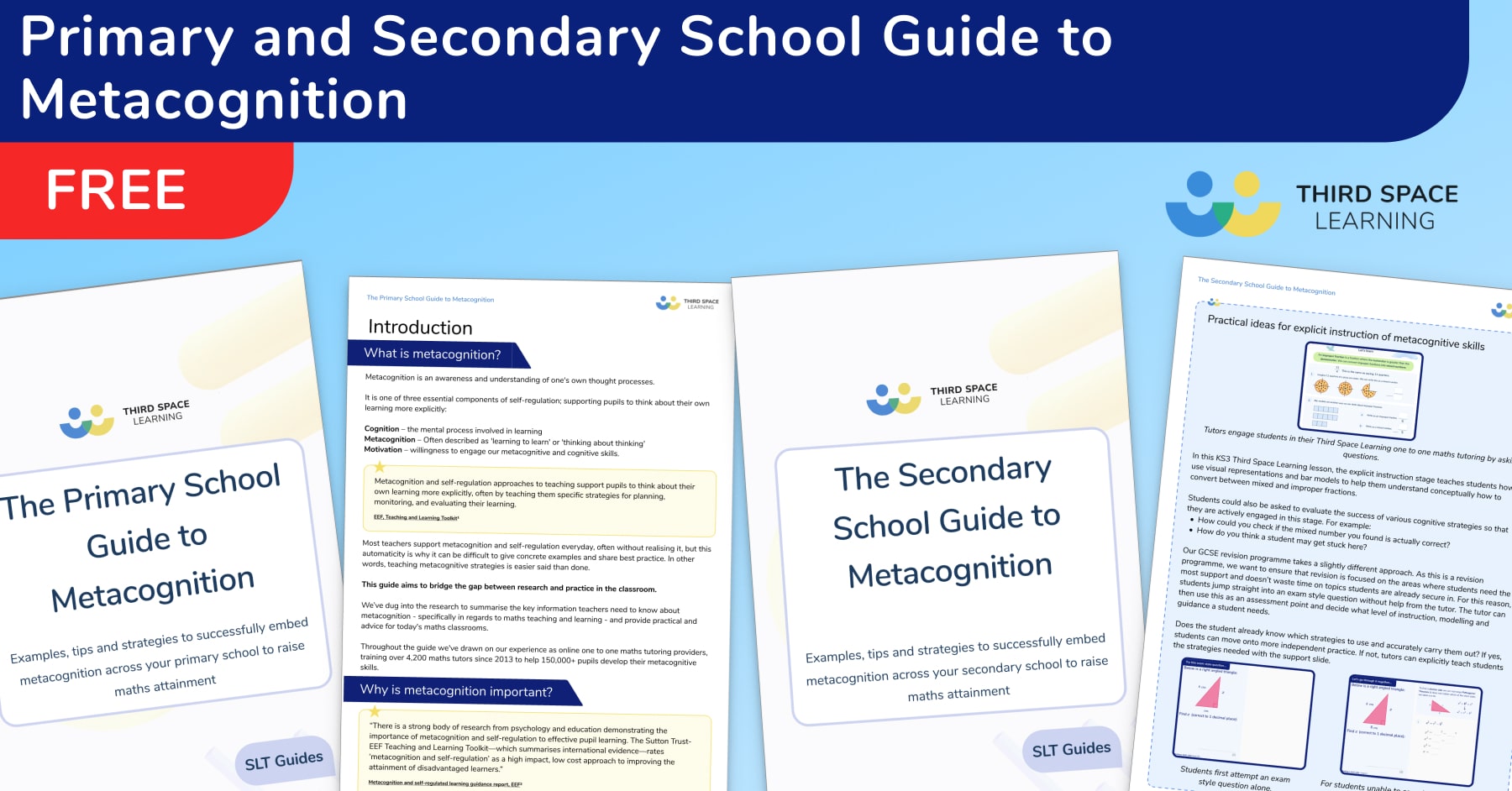 [FREE] The Ultimate Guide to Metacognition