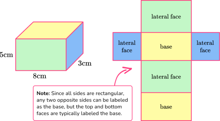 Math Nets - Math Steps, Examples & Questions