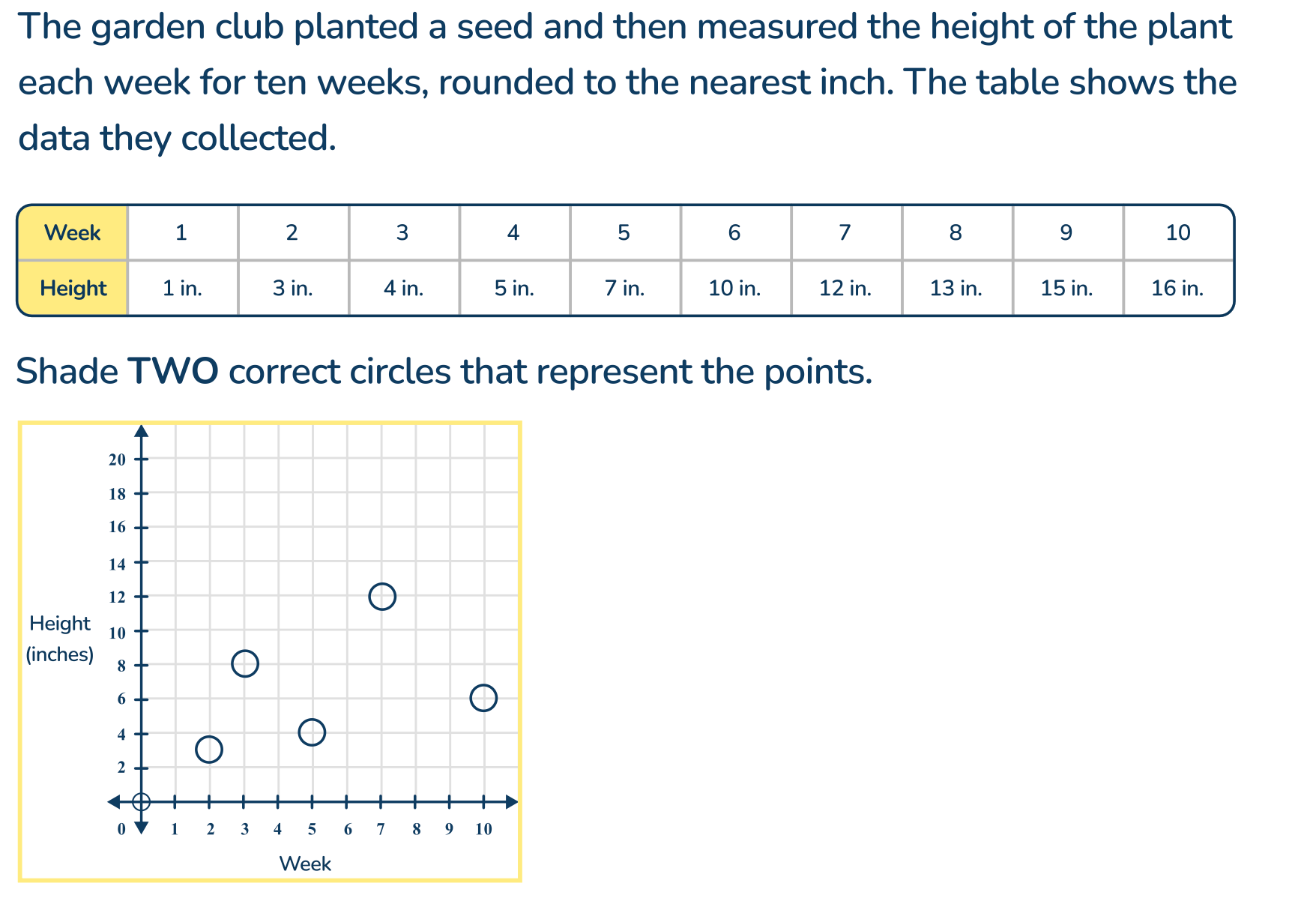 STAAR Practice Test: Supercharge Your Assessment Preparation