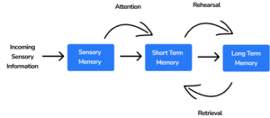 Cognitive Load Theory: A Practical Guide For Teachers
