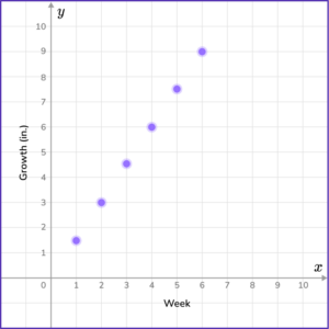 Input Output Tables - Math Steps, Examples & Questions