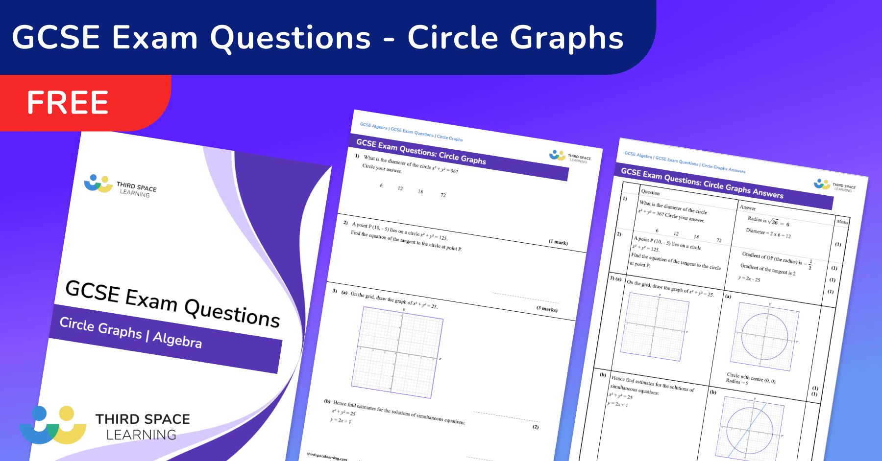 Circle Graph Exam Questions - GCSE Maths [FREE]