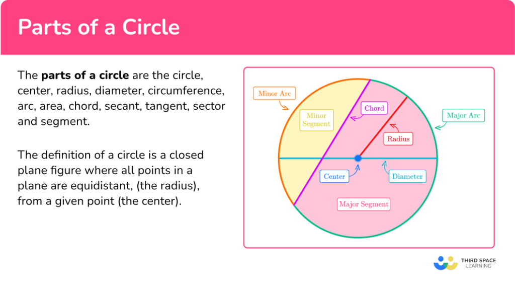 Parts of a Circle - Math Steps, Examples & Questions