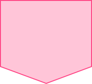 Pentagon Shape - Definition, Examples & Practice Questions