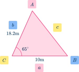 Trig Formula for Area of a Triangle - Math Steps, Examples & More!