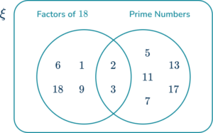 Venn Diagram - Math Steps, Examples & Questions